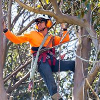 About Us | Gold Coast Stump Busters