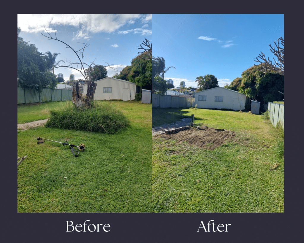 Stump Grinding Robina | Gold Coast Stump Busters